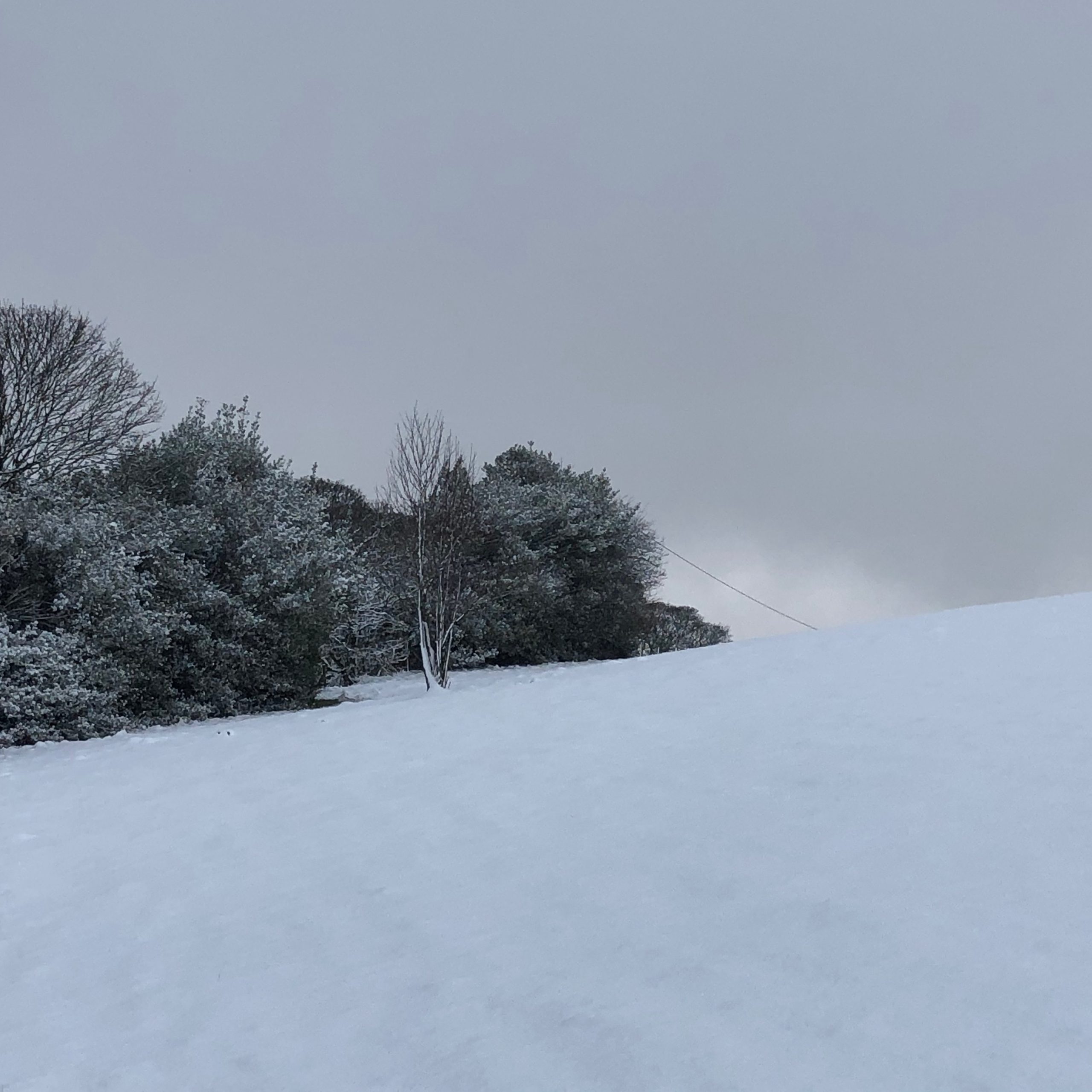 A new adventure awaits.... | Hallams Field & Country